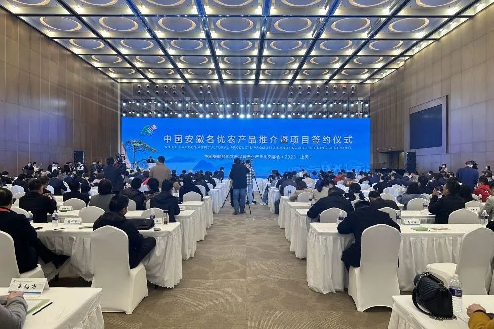 2023 年 3 月 20 日 2023 年 3 月 22 日 xieyanxia